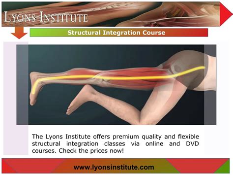 Ppt Structural Integration Techniques Powerpoint