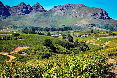Rondreis Zuid Afrika Een Unieke Ervaring Met