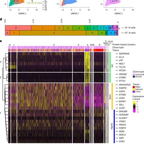 Single Cell Bcr Sequencing Of Sars Cov 2 Antigen Specific B Cells A Download Scientific