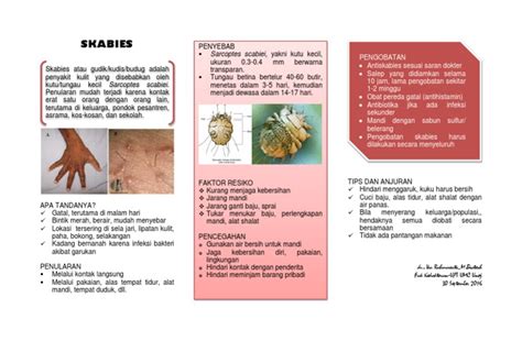 Leaflet Scabies Pdf