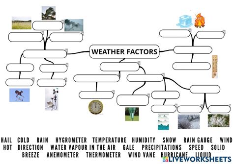 Weather Factors Worksheet Live Worksheets Worksheets Library