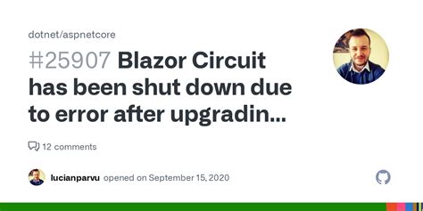 Blazor Circuit Has Been Shut Down Due To Error After Upgrading To 318