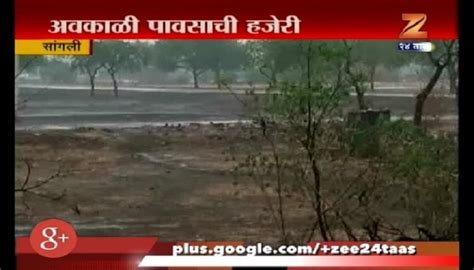 सांगली आणि लातूरमध्ये अवकाळी पाऊस महाराष्ट्र News In Marathi