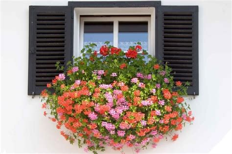 The Safe Way To Hang Window Boxes On Your Home S Exterior Trionds