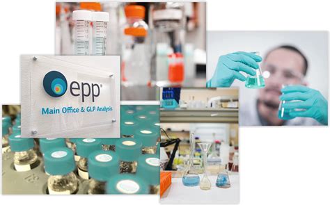 About Collage2 Epp Ltd