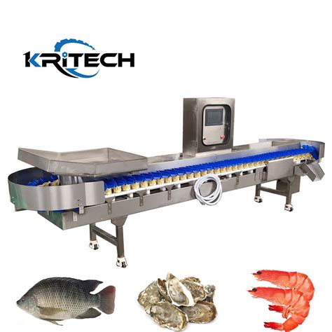 High Efficiency Tilapia Salmon Weight Sorting System Automatic Weight Classifier And Weight