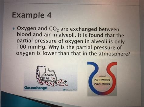 Solved Example 4 Oxygen And CO2 Are Exchanged Between Blood Chegg Com