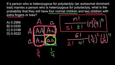 How To Solve Probability Problems In Genetics Factorial Method Youtube