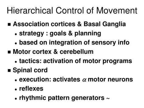 Ppt Sensorimotor Control Of Behavior Movement Powerpoint