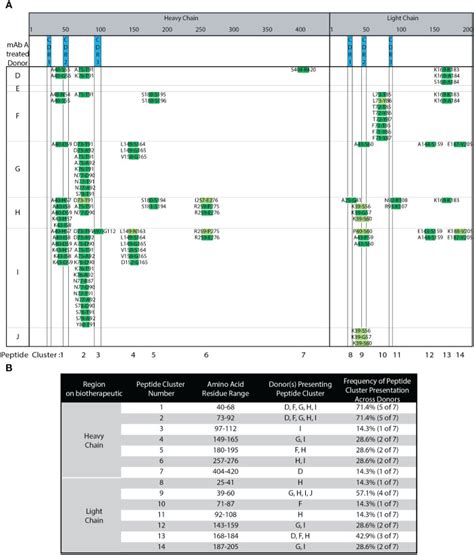 Development Of A Semi Automated Mhc Associated Peptide Proteomics