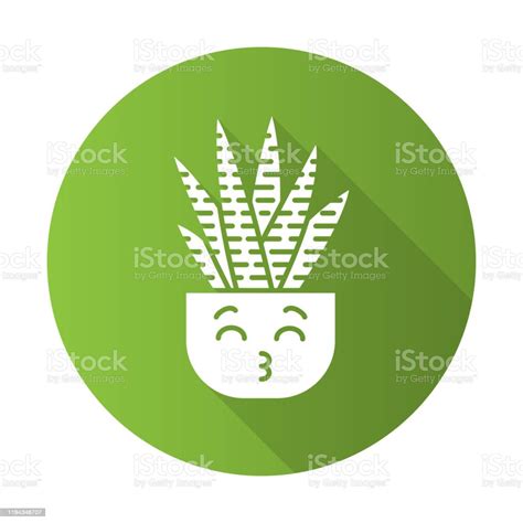 斑馬仙人掌平面設計長陰影字形圖示向量圖形及更多haworthia圖片 Haworthia 一組物體 互聯網 Istock