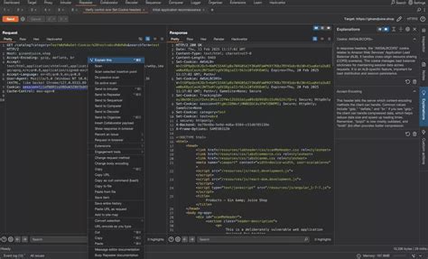 Burp Ai Capabilities Portswigger