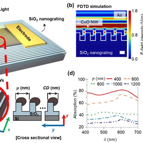 Concept Of The Proposed High Performance Visible Light Photodetector