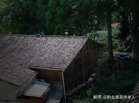 呷茶入口 一切尽在不言中 知乎