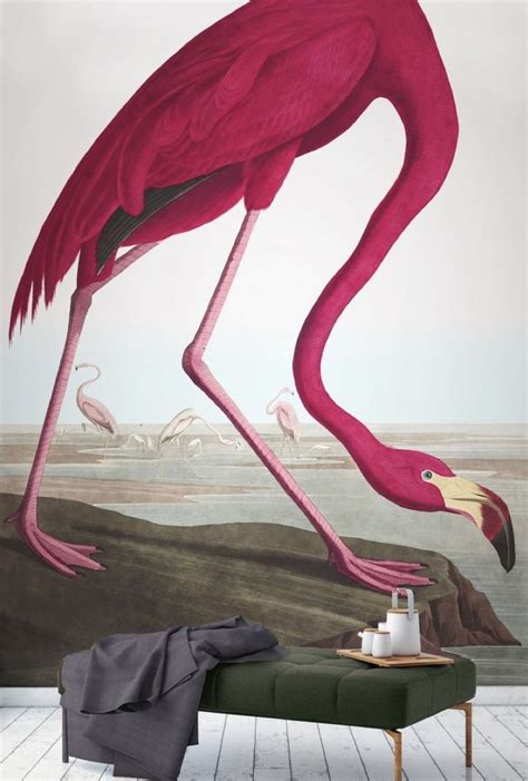 Pin By Noninoto On ‘ F L A M I N G O S ‘ Flamingo Wallpaper Pink