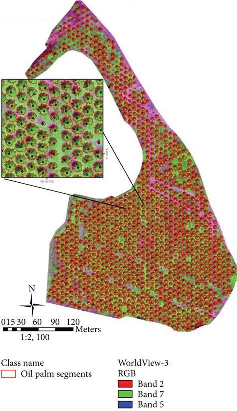 Classified Oil Palm Detection Maps For Blocks A B C D And E Download Scientific Diagram