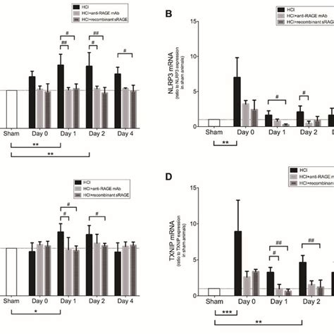 Lung Levels Of NLRP3 A Protein And B MRNA TXNIP C Protein And