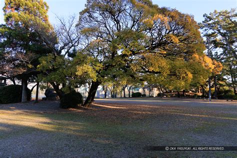 桑名城本丸跡 桑名城の写真 城の写真集 お城めぐりFAN LIBRARY
