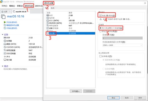 优化vmware虚拟机里的macos系统 站长快讯 主机测评