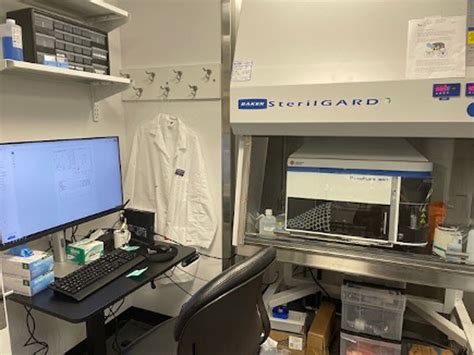 Cytoflex Srt Sorter Nyu Langone Health