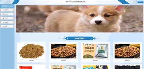 Django唯爱宠物健康管理系统程序开题报告狗狗健康管理系统csdn Csdn博客