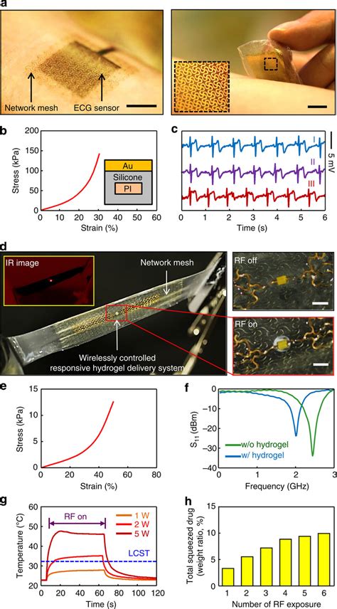 Deterministic Soft Composite Materials As Substrates For Skin Mounted Download Scientific
