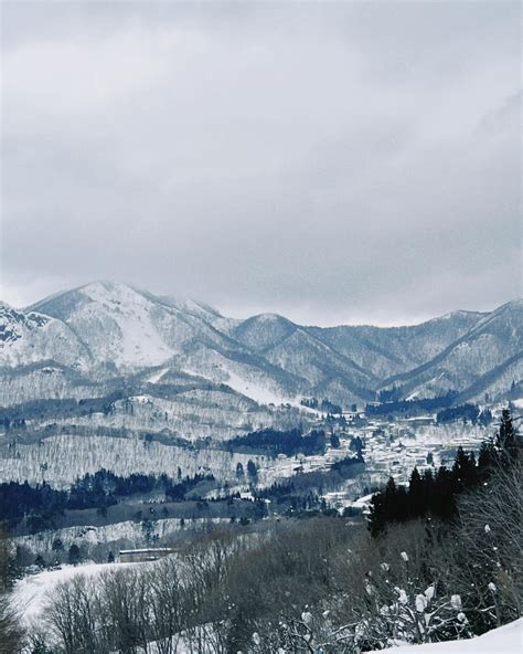 Wang Yuping Wang Yu Ping • Instagram Photos And Videos