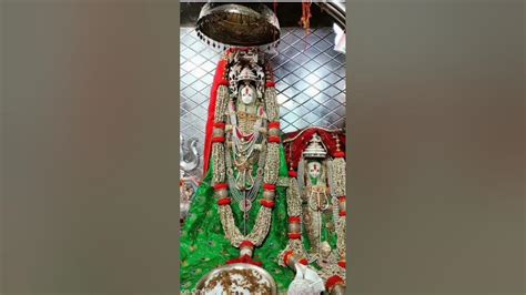 Jai Pallu Dham Youtube
