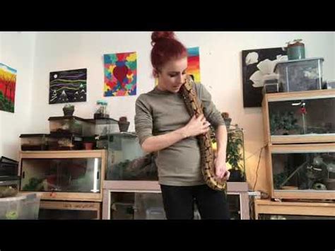 My Ball Pythons YouTube