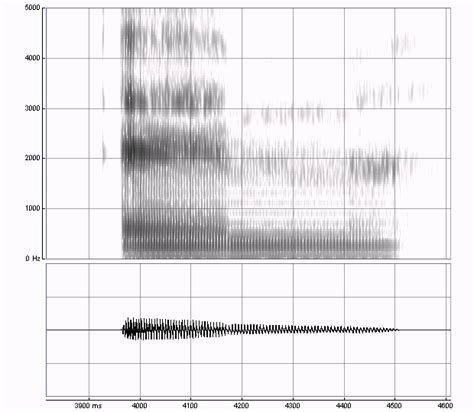 Spectrogramme Et Signal Pour Les Items P En Haut Et P En Bas