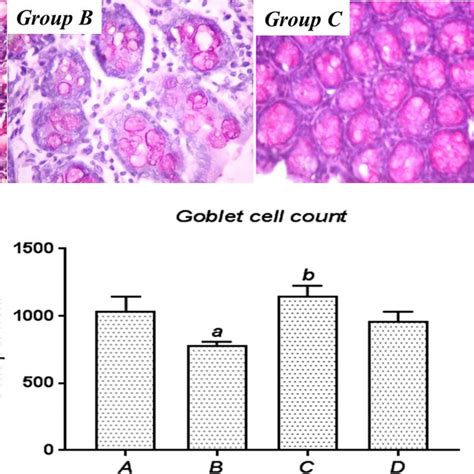 A Representative Photomicrographs Showing Mucin Expression In Colonic Download Scientific
