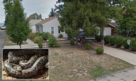 Ohio Woman Saved By Firefighters From Boa Constrictor Daily Mail Online