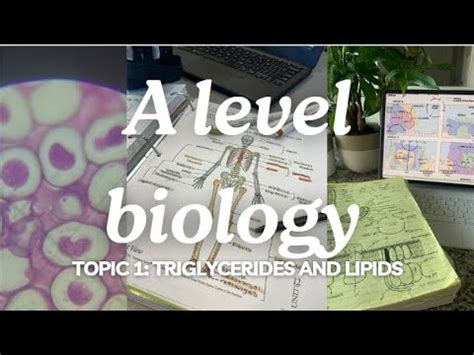 A Level Biology Edexcel A SNAB Topic 1 Triglycerides YouTube