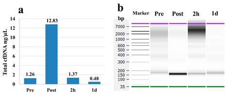 Dynamics Of Specific Cfdna Fragments In The Plasma Of Full Marathon Participants