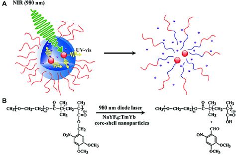 A Schematic Illustration Of Using Nir Light Excitation Of Ucnps To