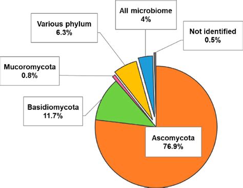 Fungal Endophyte Phyla Recurrence In Literature Research Download