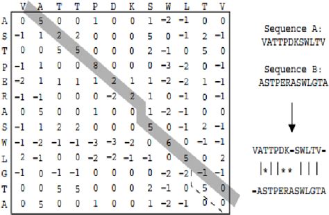 figure 3 from protein 3d structure prediction using homology method