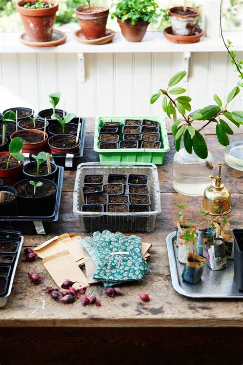 10 Gardening Mistakes To Stop Making Now