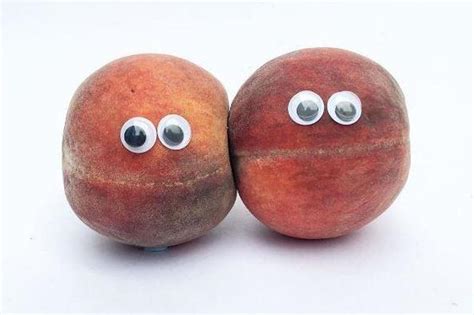 Why You Should Follow Oddbox The Wonky Fruit And Veg Box Scheme On