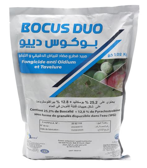 Bocus Duo Aci Algerie