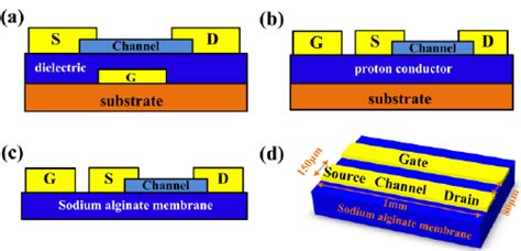 Scheme Illustration Of A A Conventional Transistors With A Bottom Download Scientific Diagram