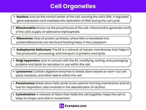Cell Discovery Of Cells Characteristics Types Difference Cell Structure Cell Organelles