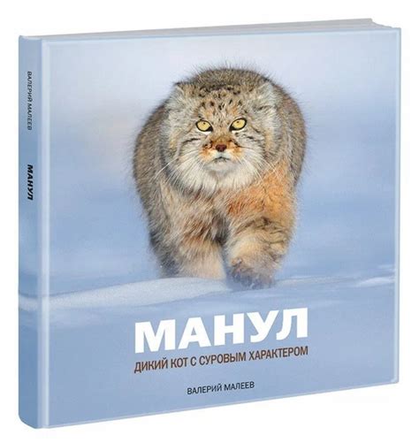 Друзья, от всей души рекомендуем чудесную книгу о мануле! Валерий ...