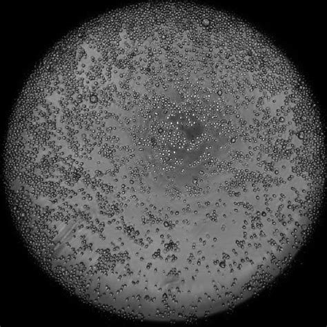 Best Viewed In Screens Typical Examples Of Large Scale Object