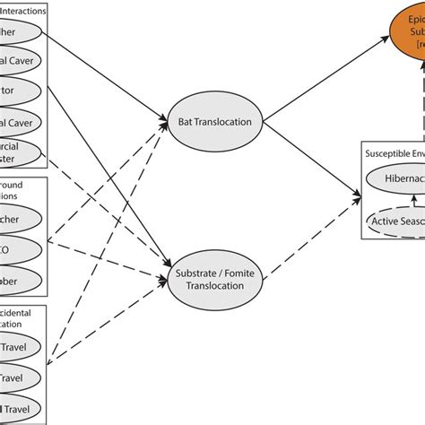 Bat‐mediated Pathogen Movement Sub‐diagram A Within Season Movement Download Scientific
