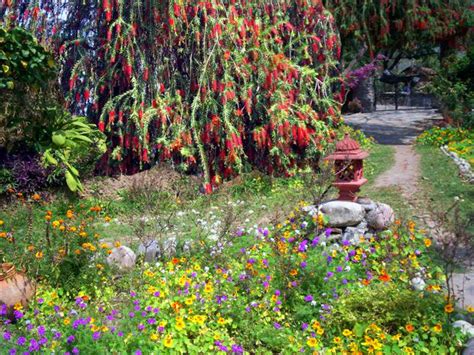 About Vanamali Ashram