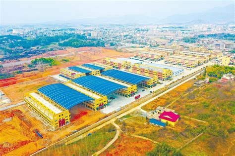 阳新建设大型农博园来源就业农业