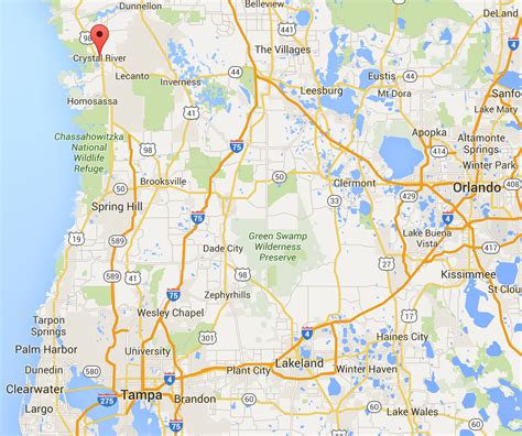Manatees And Pristine Scenery Draw Visitors To Central Floridas