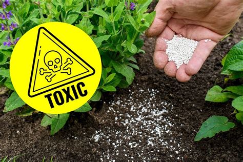 Inorganic Fertilizer Brands