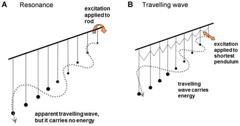 In A Resonant System A The Pendulums Hang From A Common Rod And Are